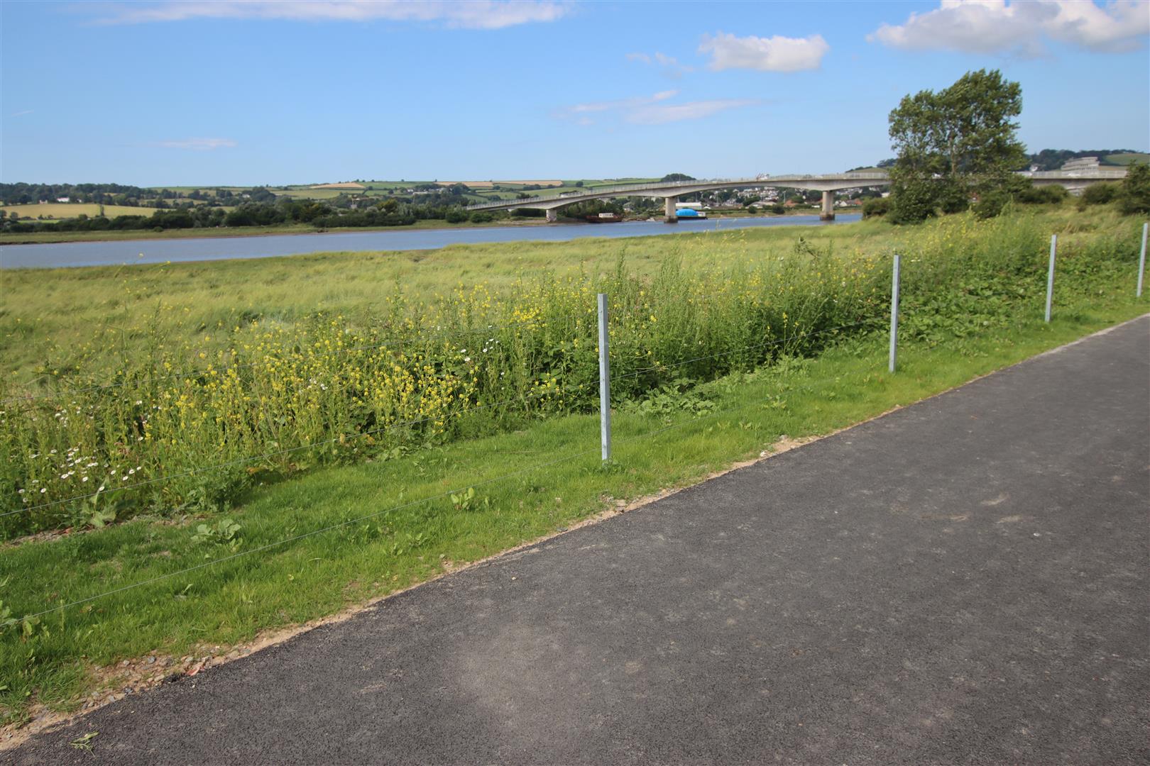 River Taw, Barnstaple - Phillips Smith and Dunn